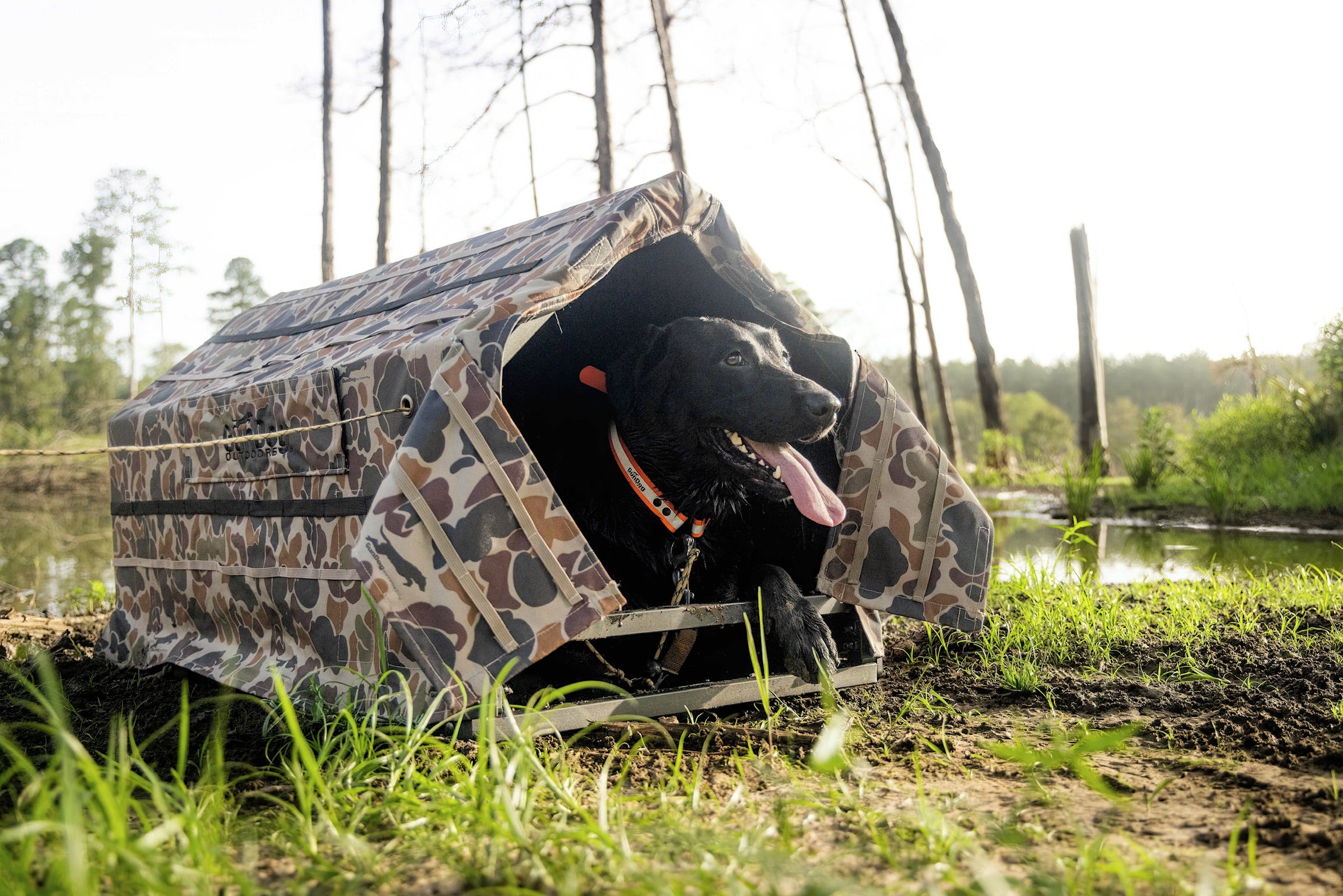 Hunting dog supplies – GunDog Outdoors